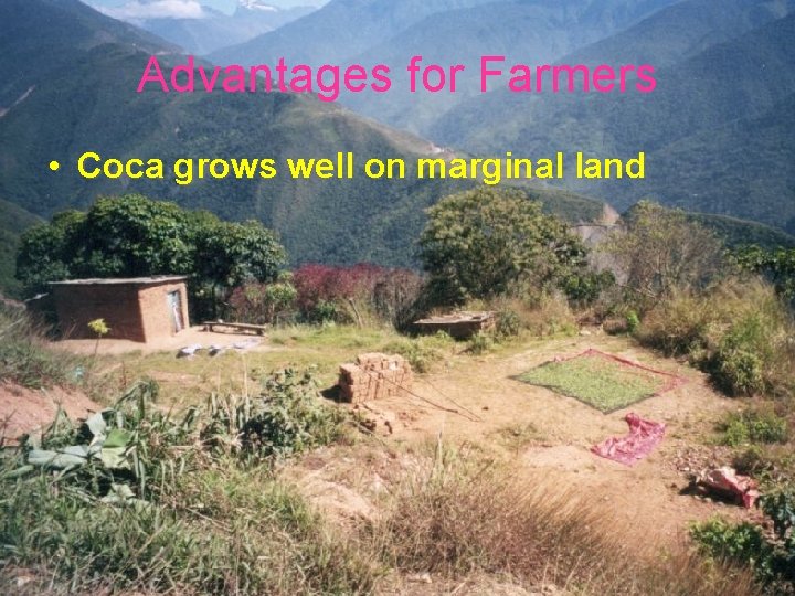 Geography of Drugs Links between US and Latin