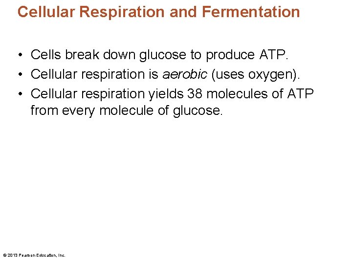 Cellular Respiration and Fermentation Cells break down glucose
