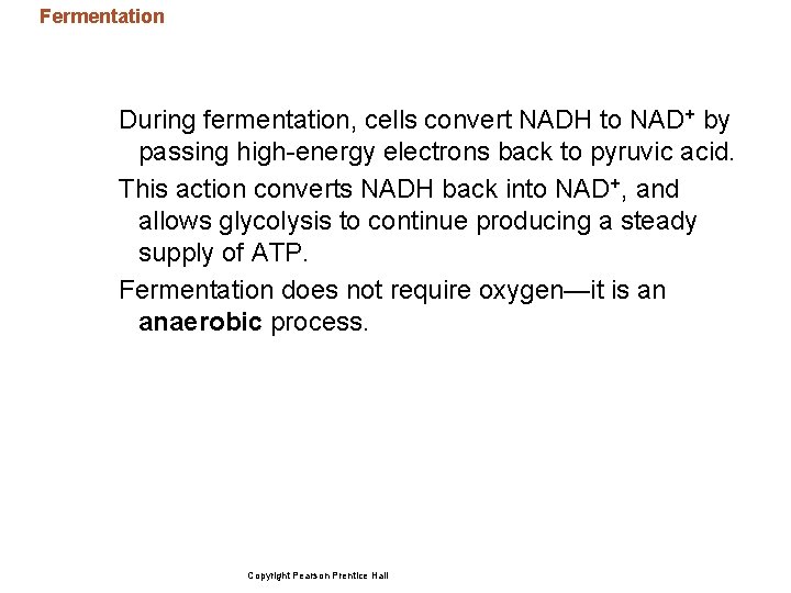 Cellular Respiration and Fermentation Cells break down glucose