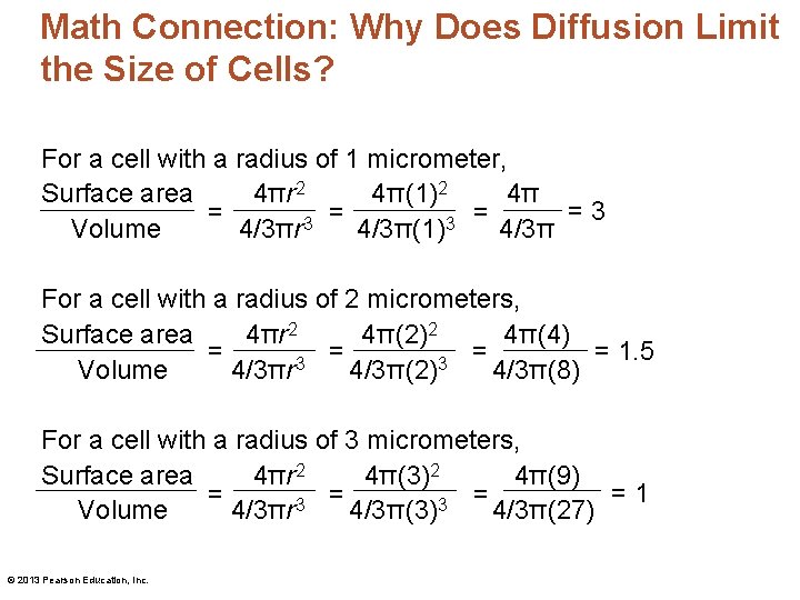 Cellular Respiration and Fermentation Cells break down glucose