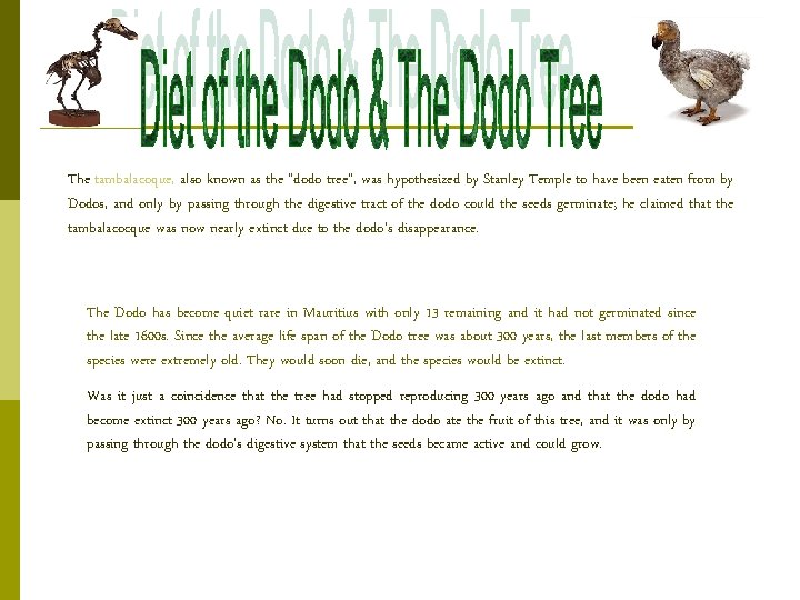 Despite being the emblem of extinction the evolutionary