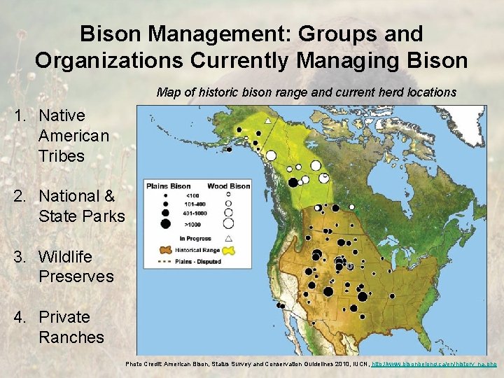 The Protection Conservation and Restoration of Bison Science