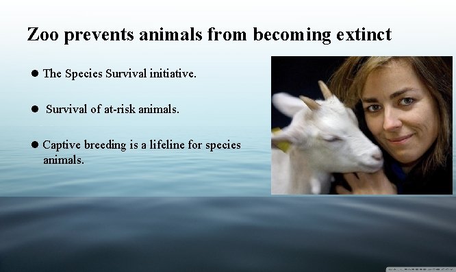 Keeping Animals In Zoos Is Beneficial 08082014 Ling