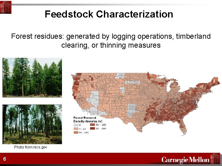Biobased electricity How biomass resources can support renewable