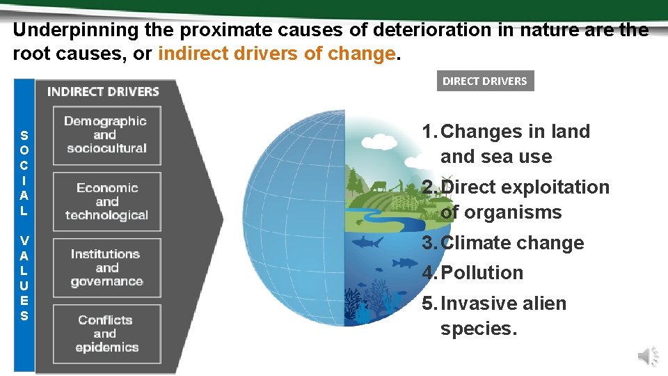 Global Assessment on Biodiversity Ecosystem Services Joint Biodiversity