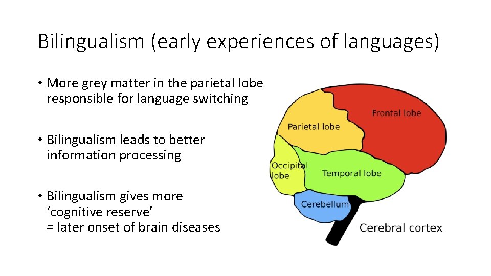 Babies toddlers and languages start early learn languages