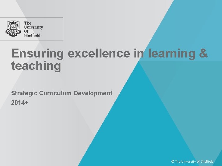 Ensuring excellence in learning teaching Strategic Curriculum Development