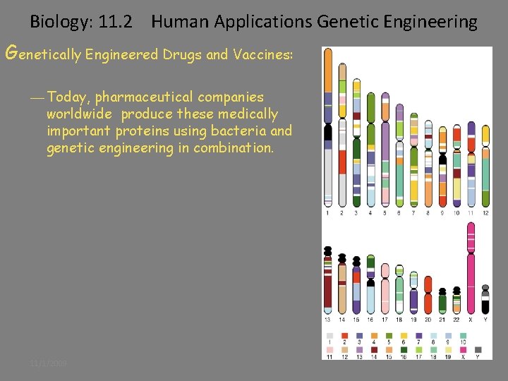 Biology 11 2 Human Applications Genetic Engineering 1112009