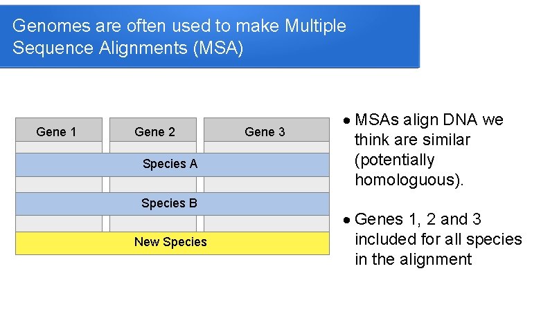 Rapid Parallel Location Mapping Jasper Toscani Field Biologists