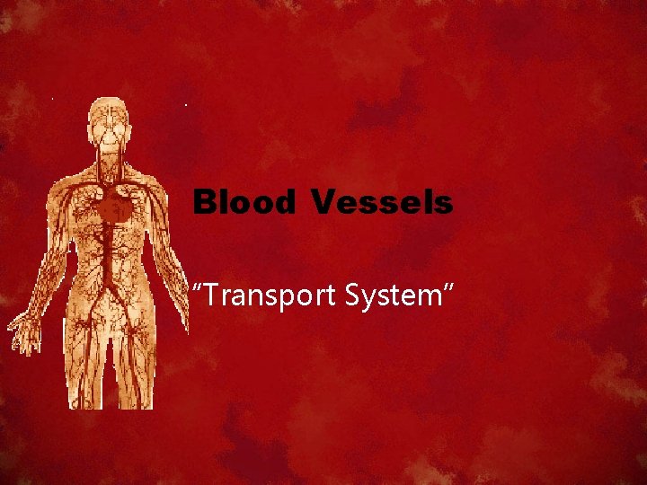 Blood Vessels Transport System Arteries Always carry blood