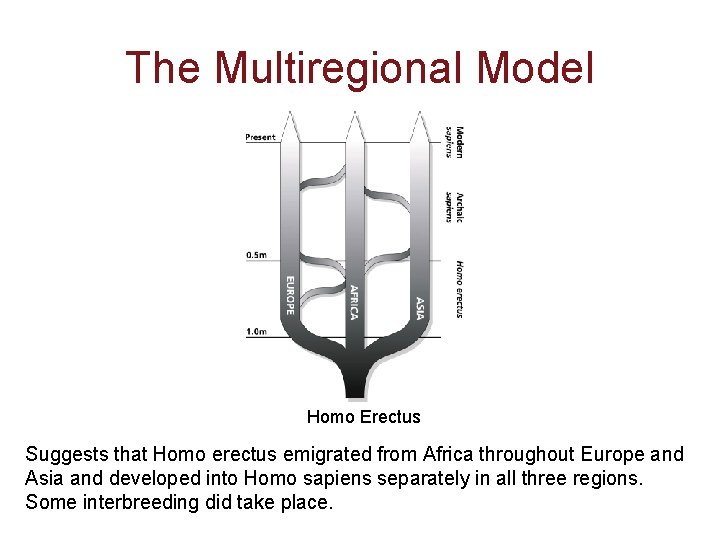 How did the Earth come to be occupied