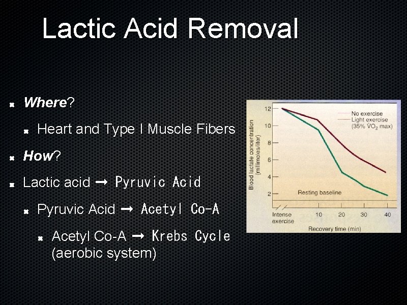 Exercise Metabolism Chapter 4 pp 53 68 1