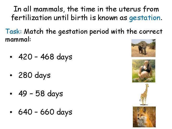 Development of a fetus Do now activity Describe