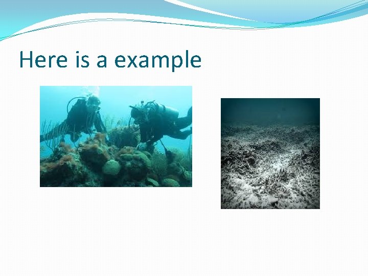 Coral Reefs By Jovana Dragovic How might carless