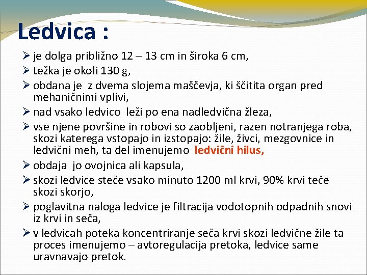 Sela uropoetski sistem So organski sistem ki proizvaja