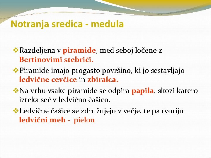 Sela uropoetski sistem So organski sistem ki proizvaja