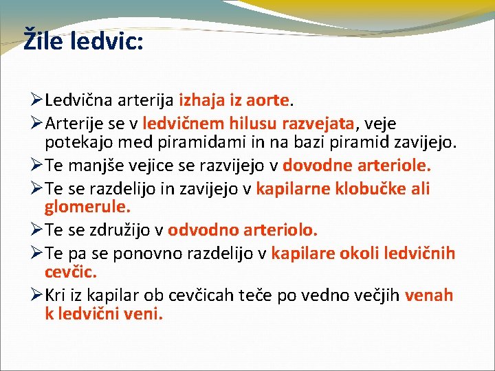 Sela uropoetski sistem So organski sistem ki proizvaja