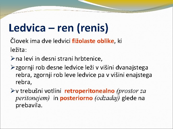 Sela uropoetski sistem So organski sistem ki proizvaja