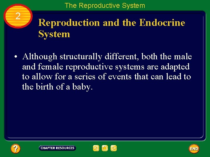 Table of Contents Chapter Regulation and Reproduction Section