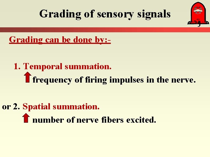 Physiology of Excitable tissue L 11 Sensation II