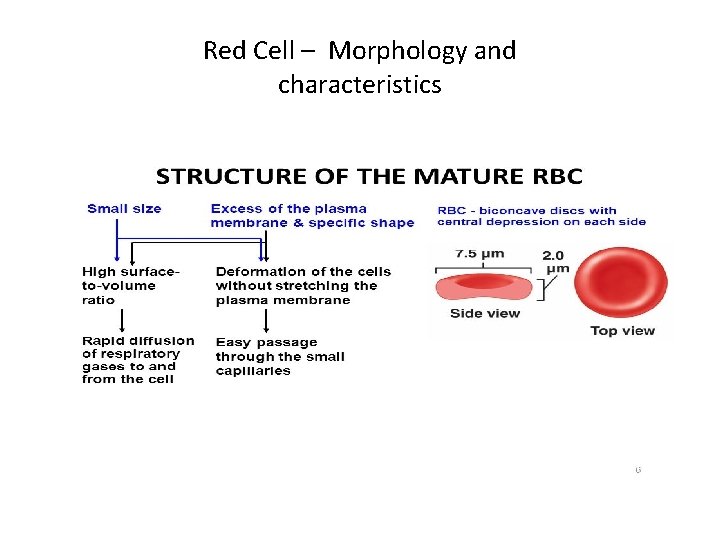 Abnormalities of Red Cell membrane Lecture NO 1