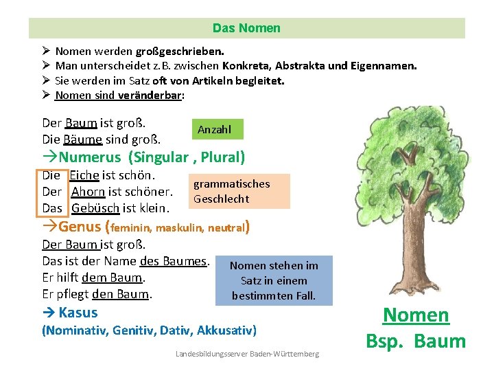 Das Nomen Landesbildungsserver BadenWrttemberg Das Nomen Nomen werden