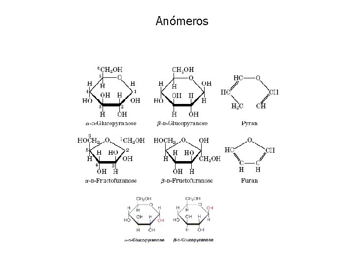 Hidratos de Carbono Caracteristicas generales Frmula general CH