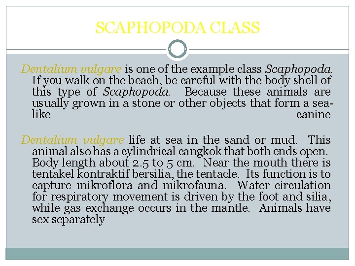 KEY DISCUSSION PALEONTOLOGI Introduction Phylum Protozoa Phylum Porifera