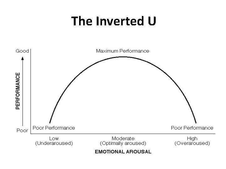 Essential Math Skills PreK to Grade 3 Bob