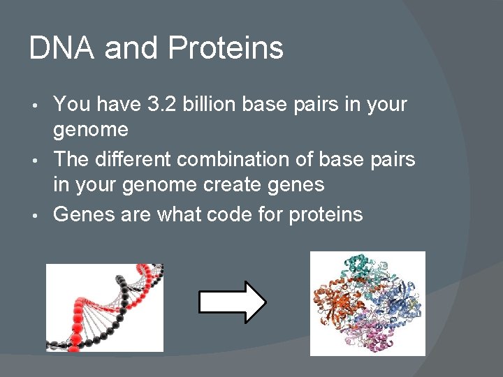 DNA A BRIEF OVERVIEW Presented by Thor Rogers
