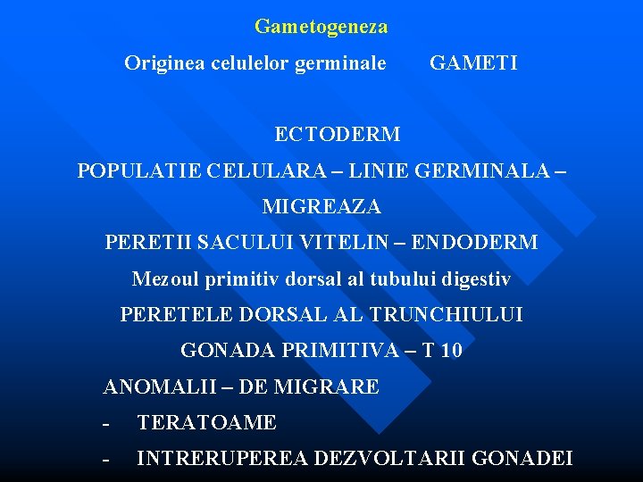 Gametogeneza Originea celulelor germinale GAMETI ECTODERM POPULATIE ...