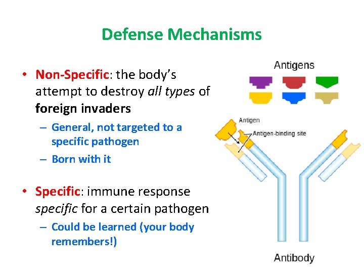 How is the human body like a battlefield