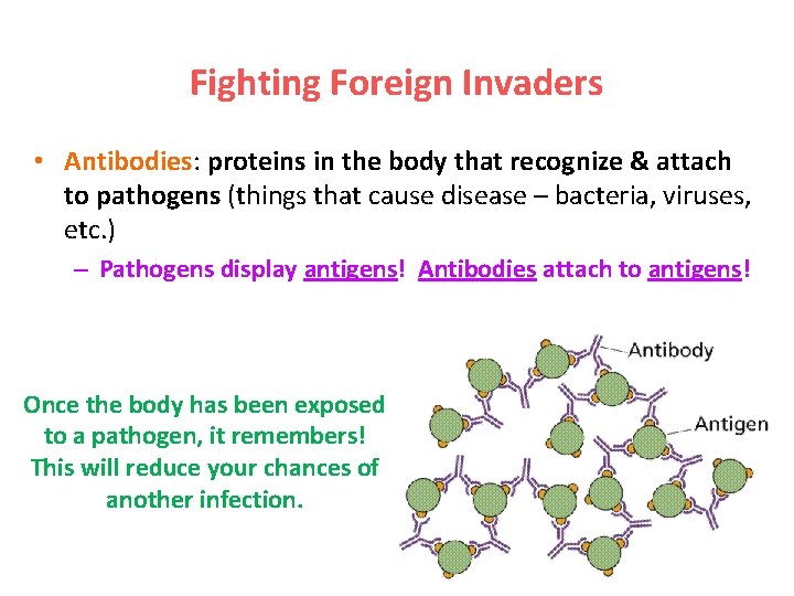 How is the human body like a battlefield