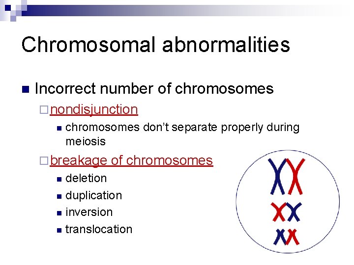 Errors of Meiosis Chromosomal Abnormalities Chromosomal abnormalities n