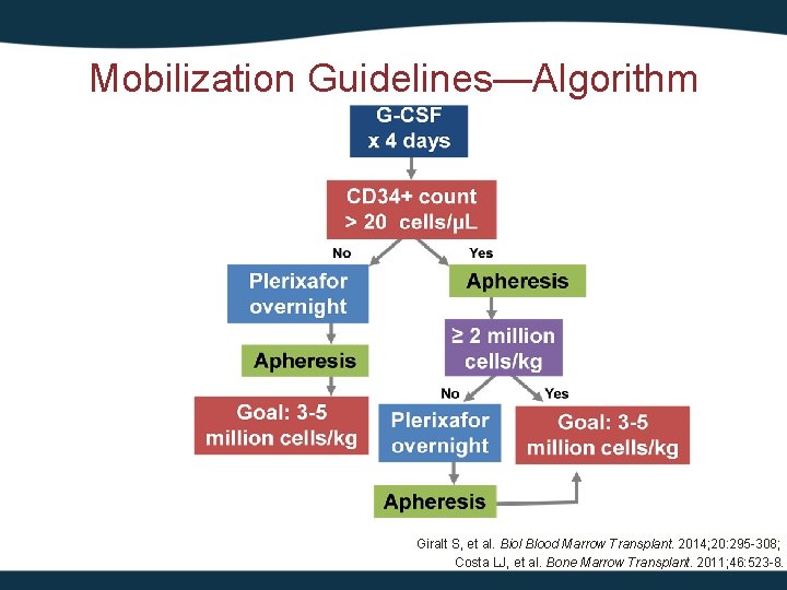 Stem Cell Mobilization and Collection in Autologous Stem