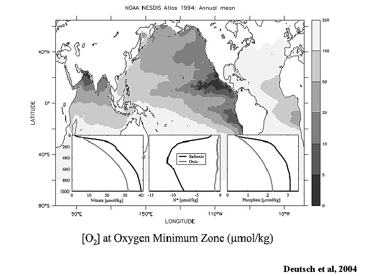 Lecture 18 The Ocean Nitrogen Cycle Denitrification Reactions
