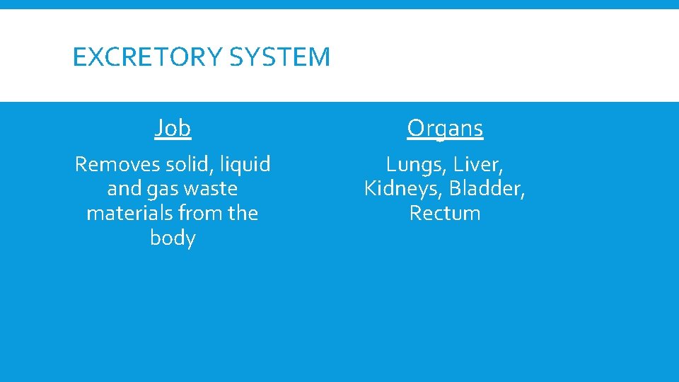 HUMAN BODY SYSTEMS Chapter 7 LABEL THE SYSTEMS