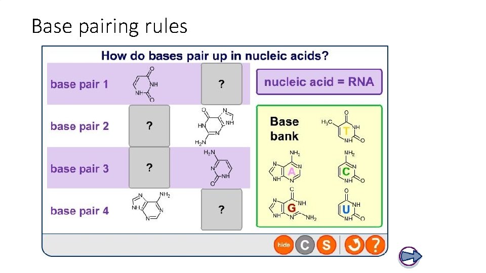 Nucleic Acids Introduction to nucleotides Nucleotides are ...