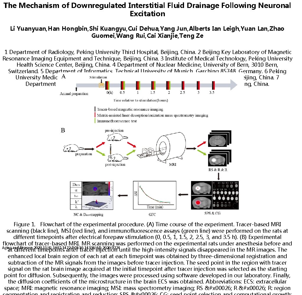 The Mechanism of Downregulated Interstitial Fluid Drainage Following