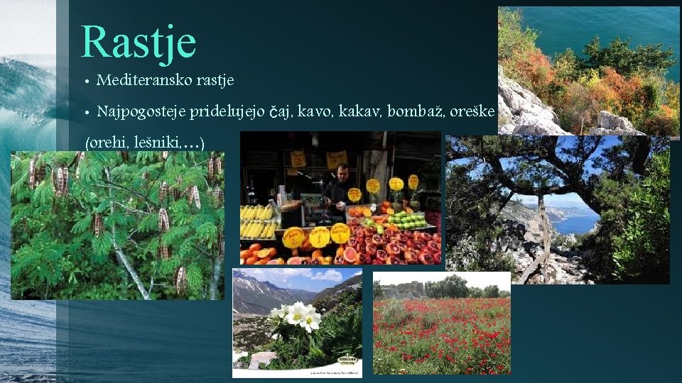 Turija Uenka Uiteljica Razred Datum Lega Je obmorska