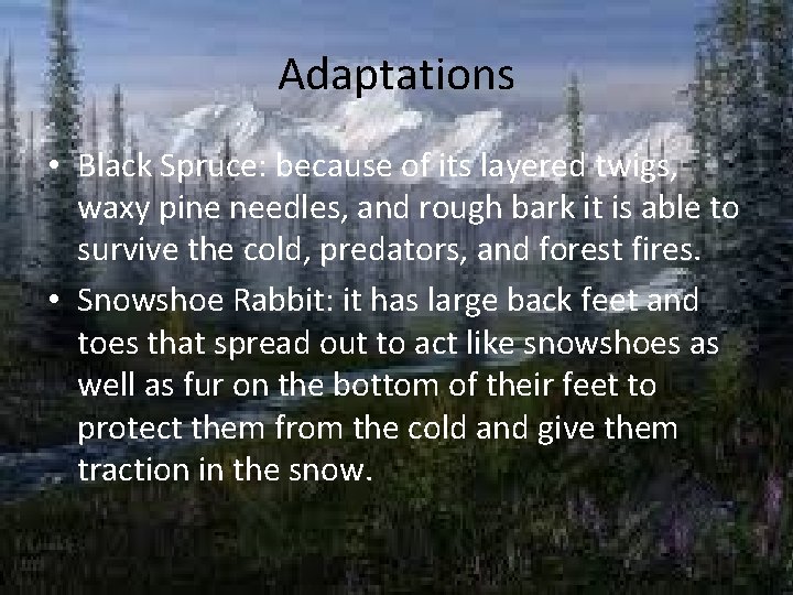 TaigaBoreal Forest The best biome this side of