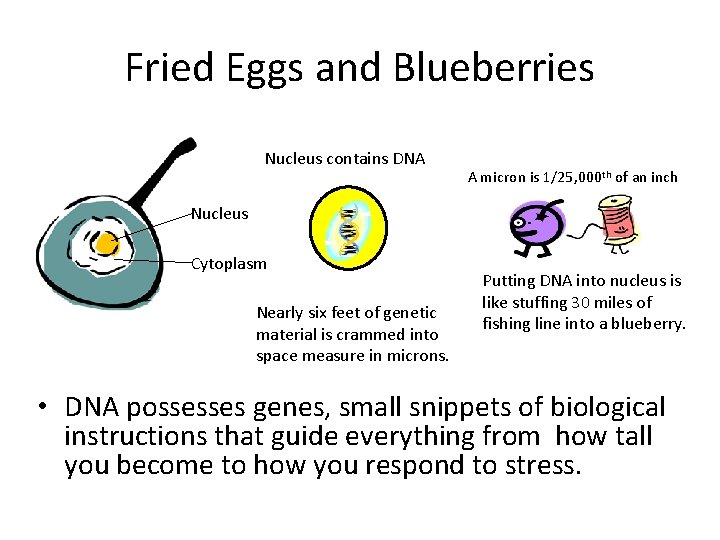 Brain Rule 3 Every Brain is Wired Differently