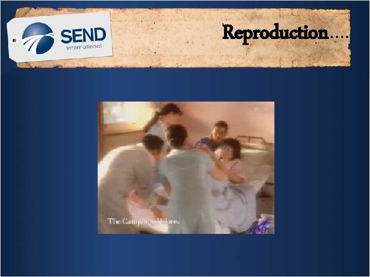 Establish Married Reproduction Resourcefulness mobilize Gods people engage