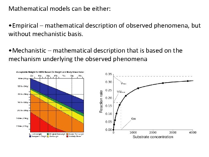 Modeling plants and global environmental change Dr Andrew