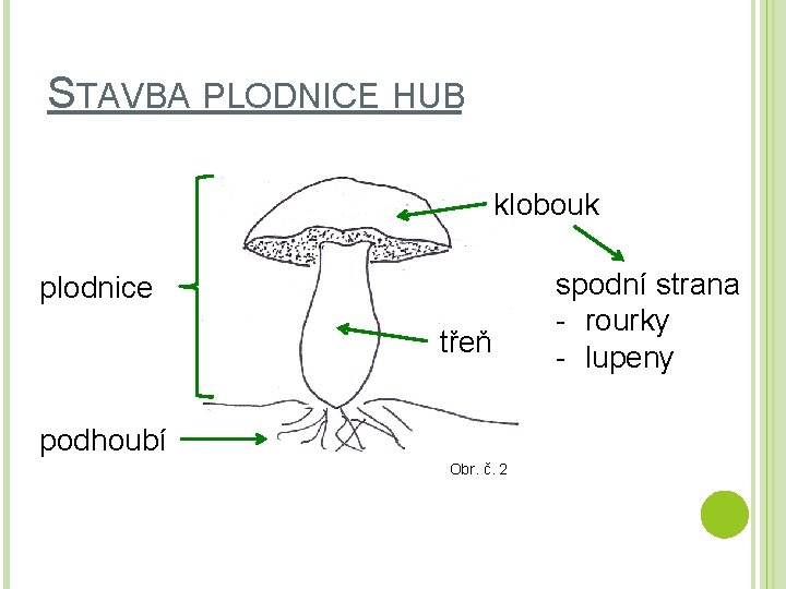 STOPKOVTRUSN HOUBY VY32INOVACE0523 STOPKOVTRUSN HOUBY Podhoub ...