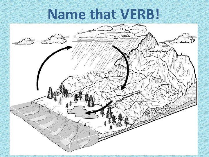 Lets Review The Water Cycle Name that VERB