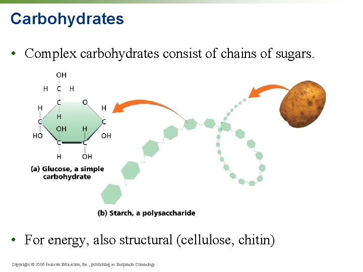 4 From Chemistry to Energy to Life Part