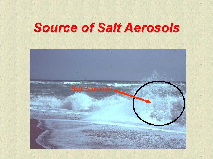 Introduction to Barrier Island Ecology Biology 366 Ecology