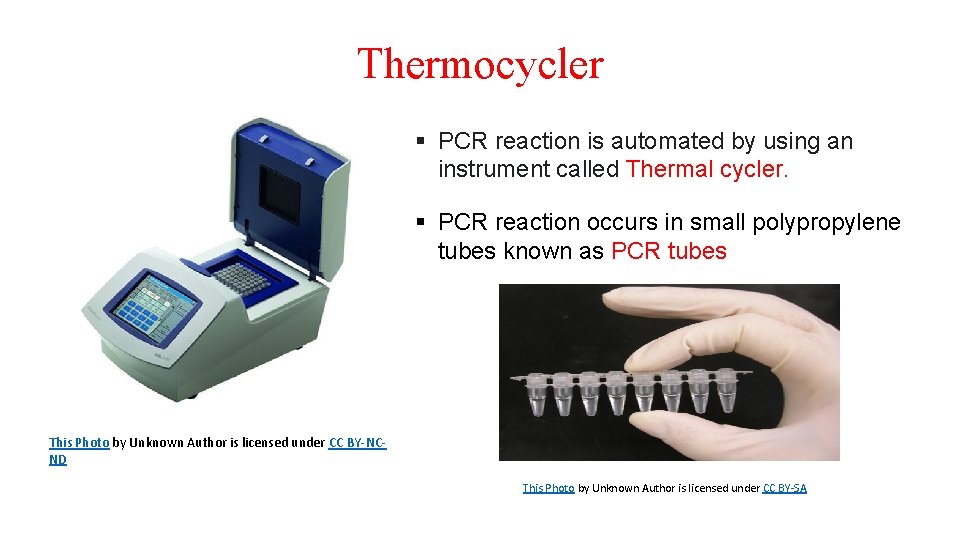 BASICS of PCR Subject Zoology Smt T SRI
