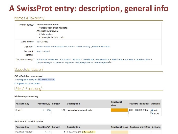 Introduction to proteins bioinformatics analysis Juliette Hayer November